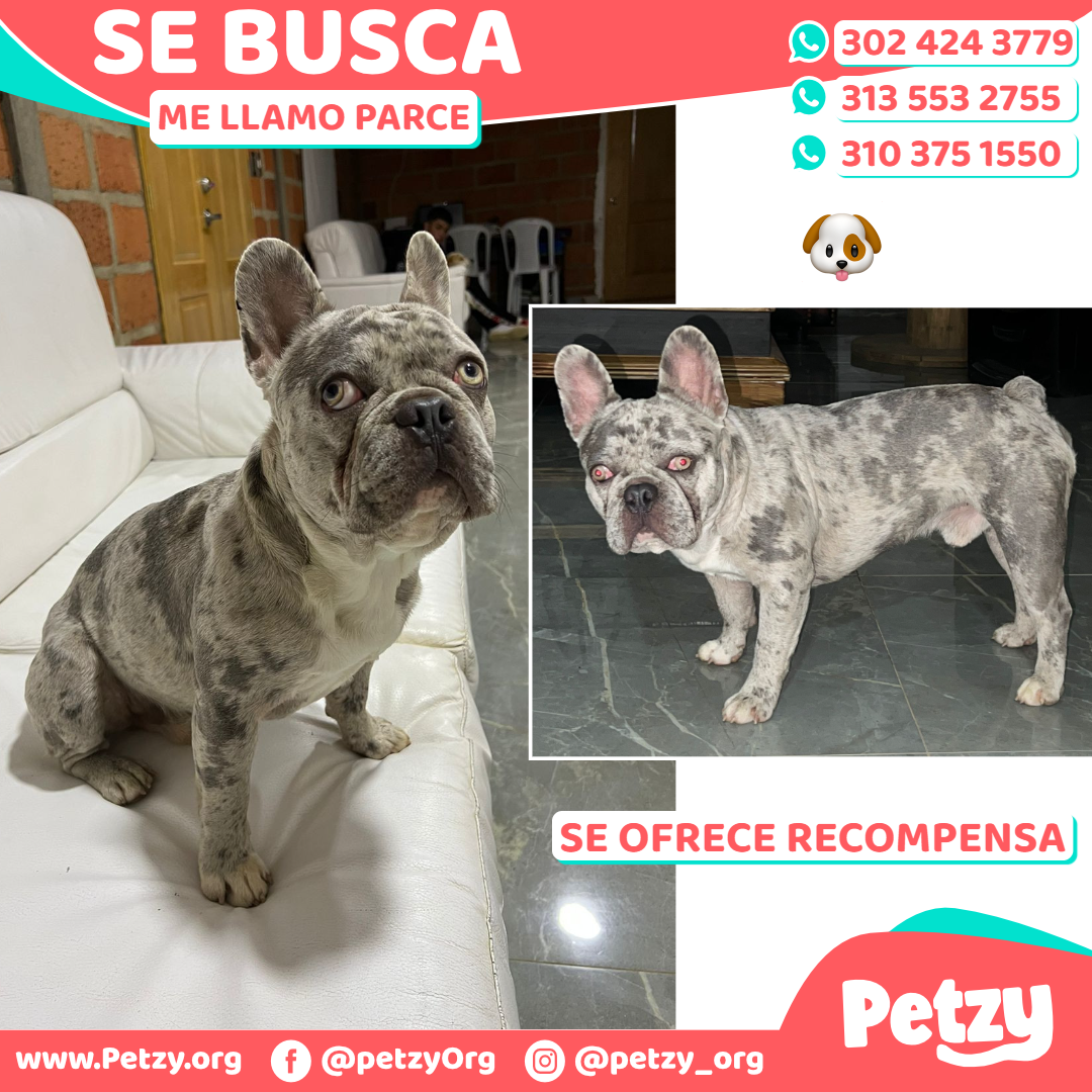 Parce Ya esta en casa, Guarne Antioquia | Petzy.org